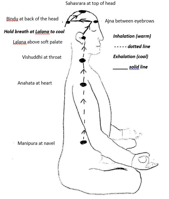 Amrit Pan | SOYA Yoga