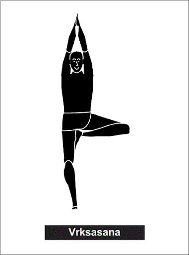 Six Kinds Of Yoga Asanas for Balancing the Body | SOYA Yoga