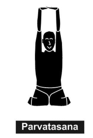 YOGA ON THE HIKING TRAIL: A Sadhana by Mugs McConnell (Part 3) | SOYA Yoga